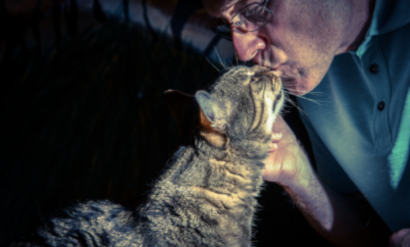 Resources to help with rehoming pets & more - Hearts Alive Village